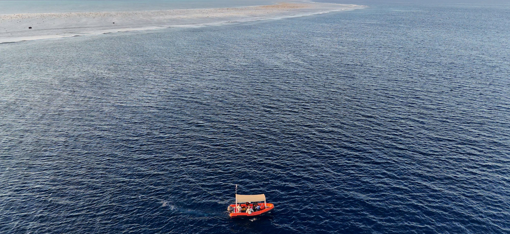 WA Oceanic Reefs Dodge Mass Bleaching, Confirm Scientists | Mirage News