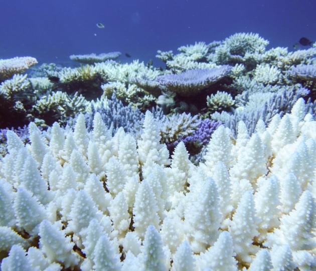 Assisted evolution | AIMS